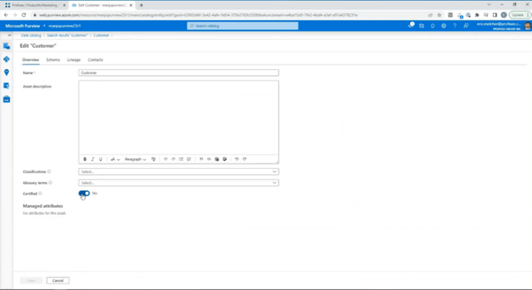 Profisee Releases – What’s New | QMetrix